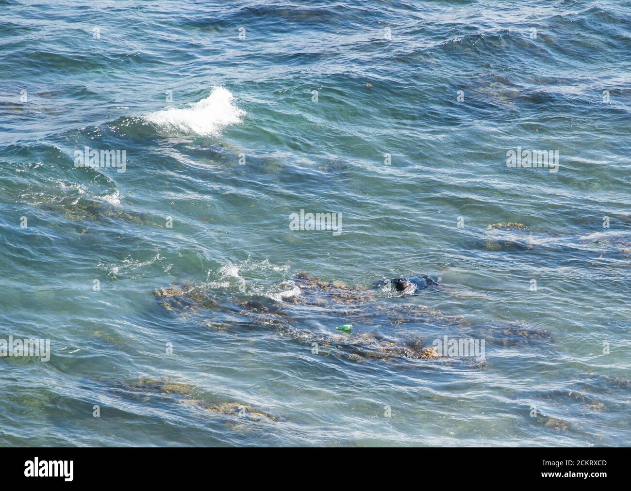 St croix underwater hi-res stock photography and images - Alamy