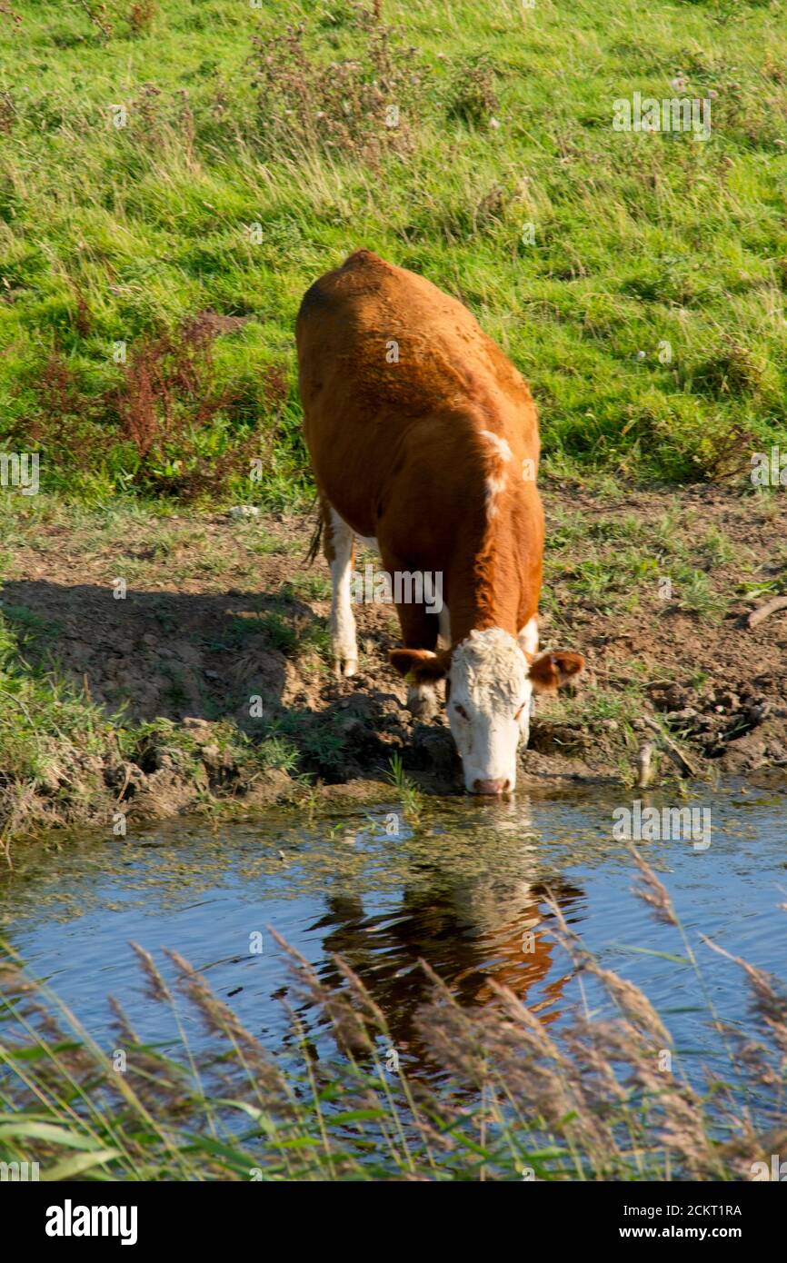 Water intake point hi-res stock photography and images - Alamy