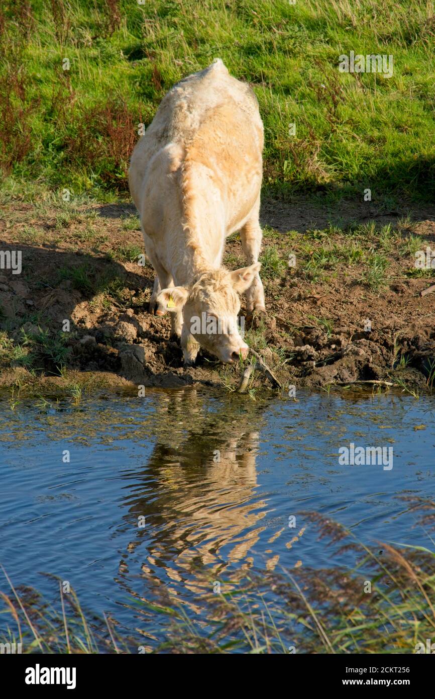 Water intake point hi-res stock photography and images - Alamy