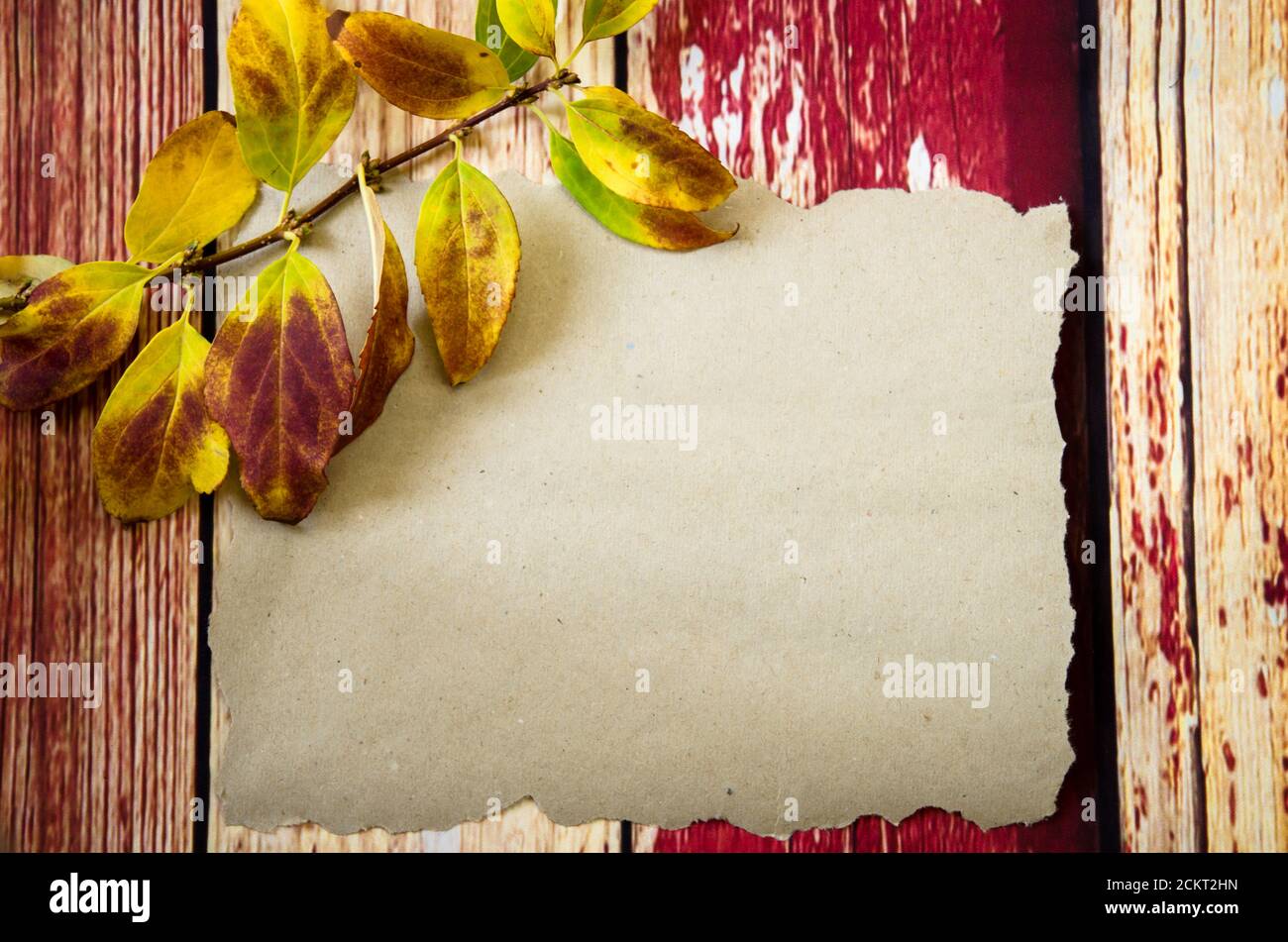 colorful autumn leaf in sheet of paper Stock Photo - Alamy