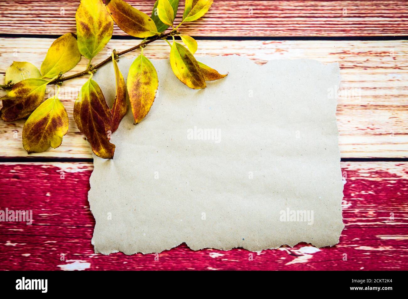 colorful autumn leaf and blank sheet of paper Stock Photo - Alamy