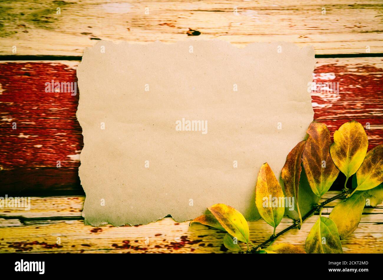colorful autumn leaf in sheet of paper Stock Photo - Alamy