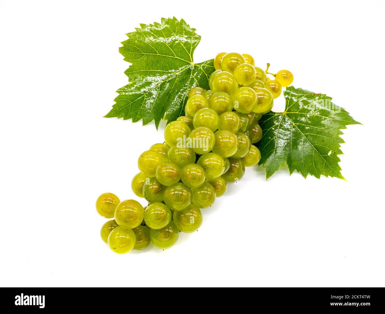 yellow wine isolated on white background Stock Photo - Alamy