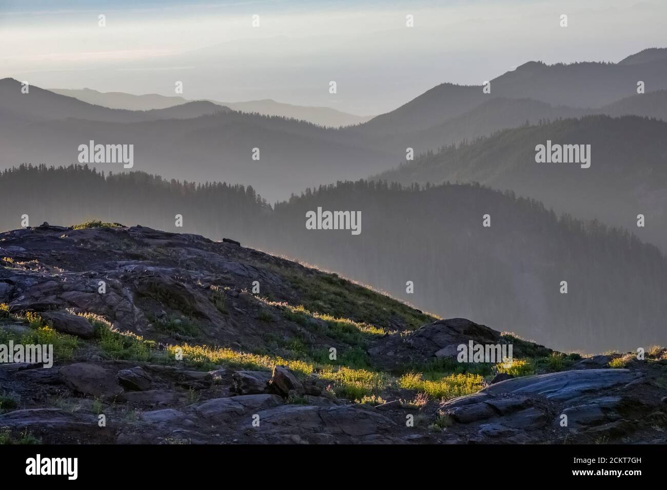 Hogsback camp hi-res stock photography and images - Alamy