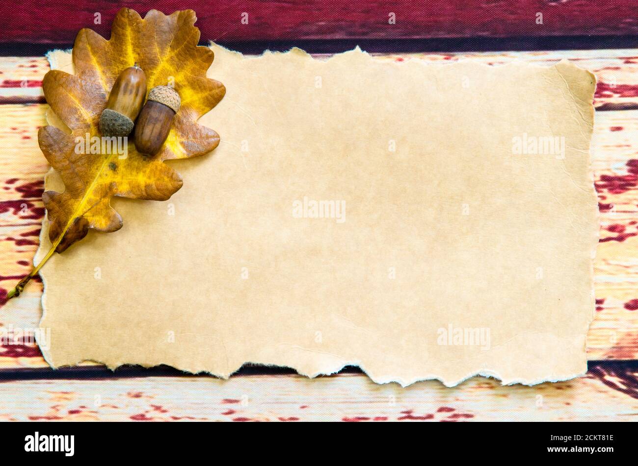 Beech leaves and mast hi-res stock photography and images - Alamy