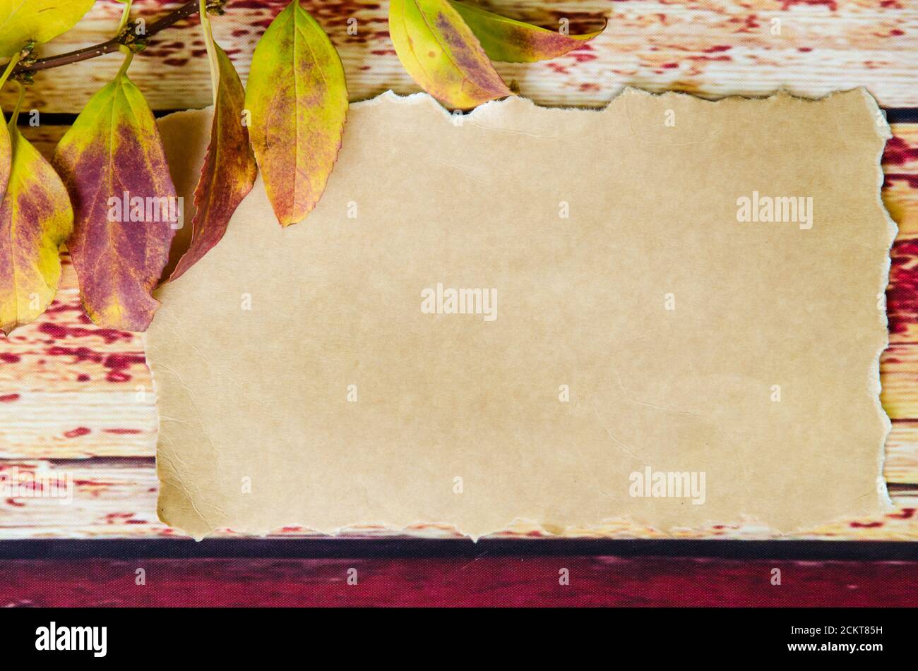 colorful autumn leaf and blank sheet of paper Stock Photo - Alamy