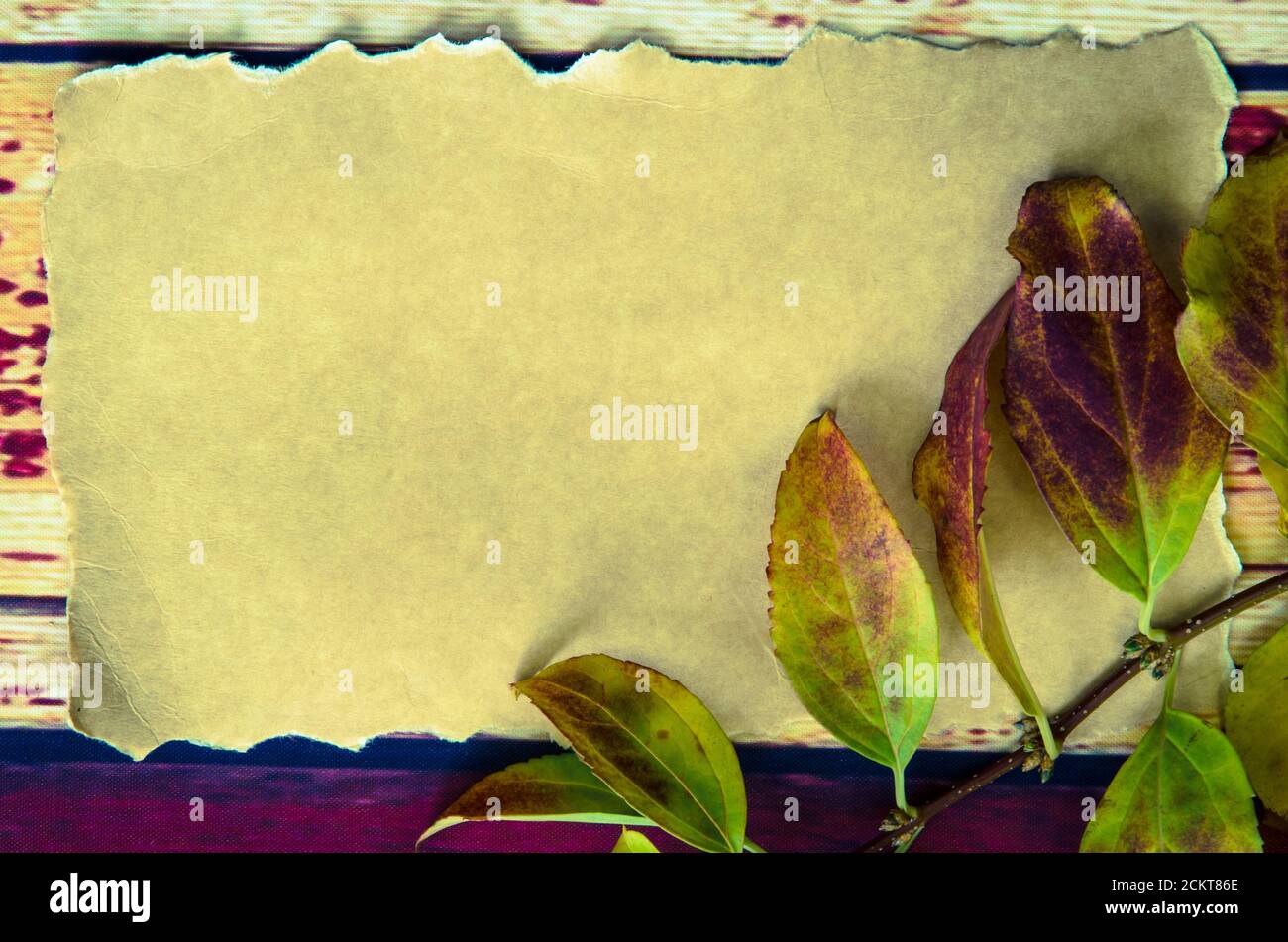 colorful autumn leaf and blank sheet of paper Stock Photo - Alamy