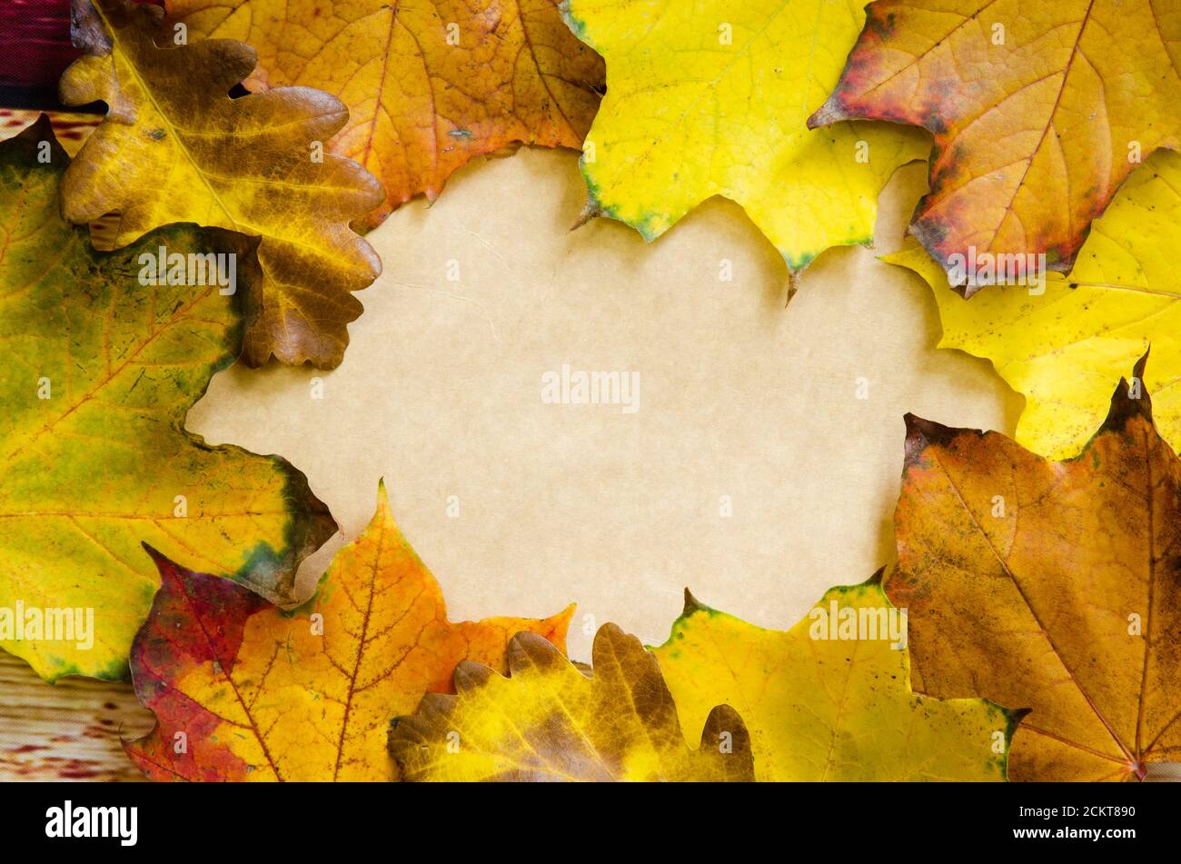 Bright and colorful autumn hi-res stock photography and images - Alamy