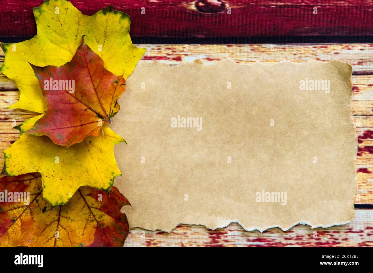 Bright and colorful autumn hi-res stock photography and images - Alamy