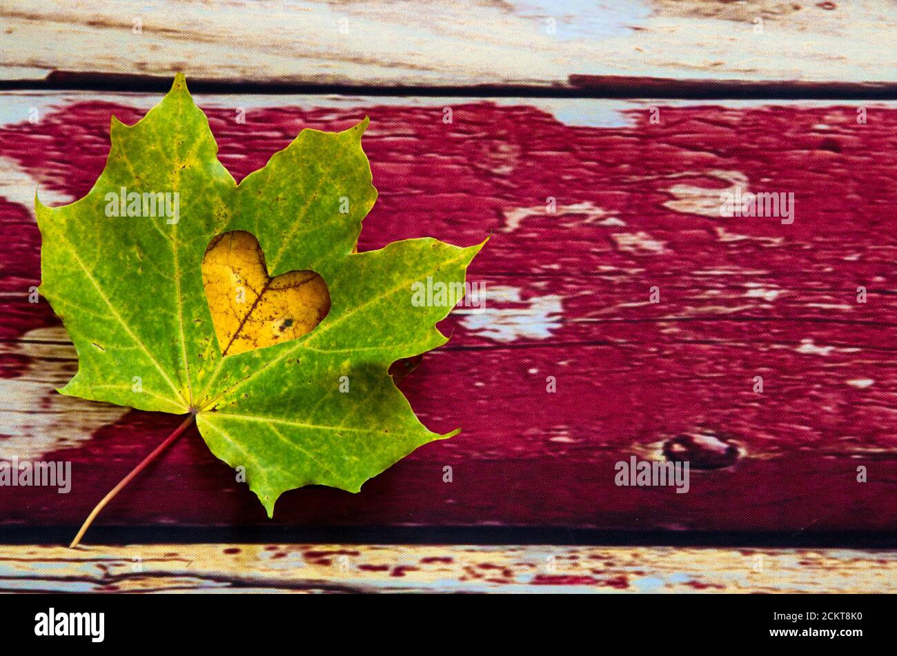 green maple leaf with heart symbol Stock Photo - Alamy
