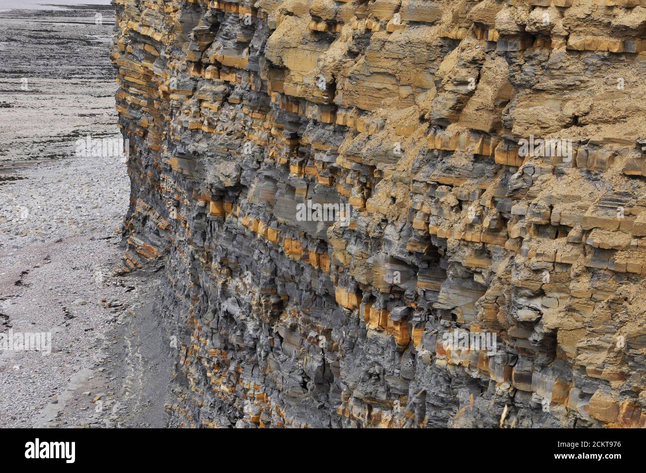 Cliffs at Kilve are early Jurassic in age. The strata contains layers ...