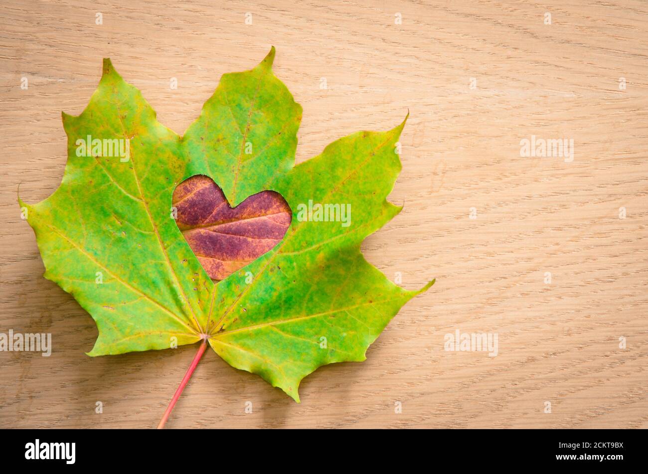 leaf with engraved love symbol Stock Photo - Alamy