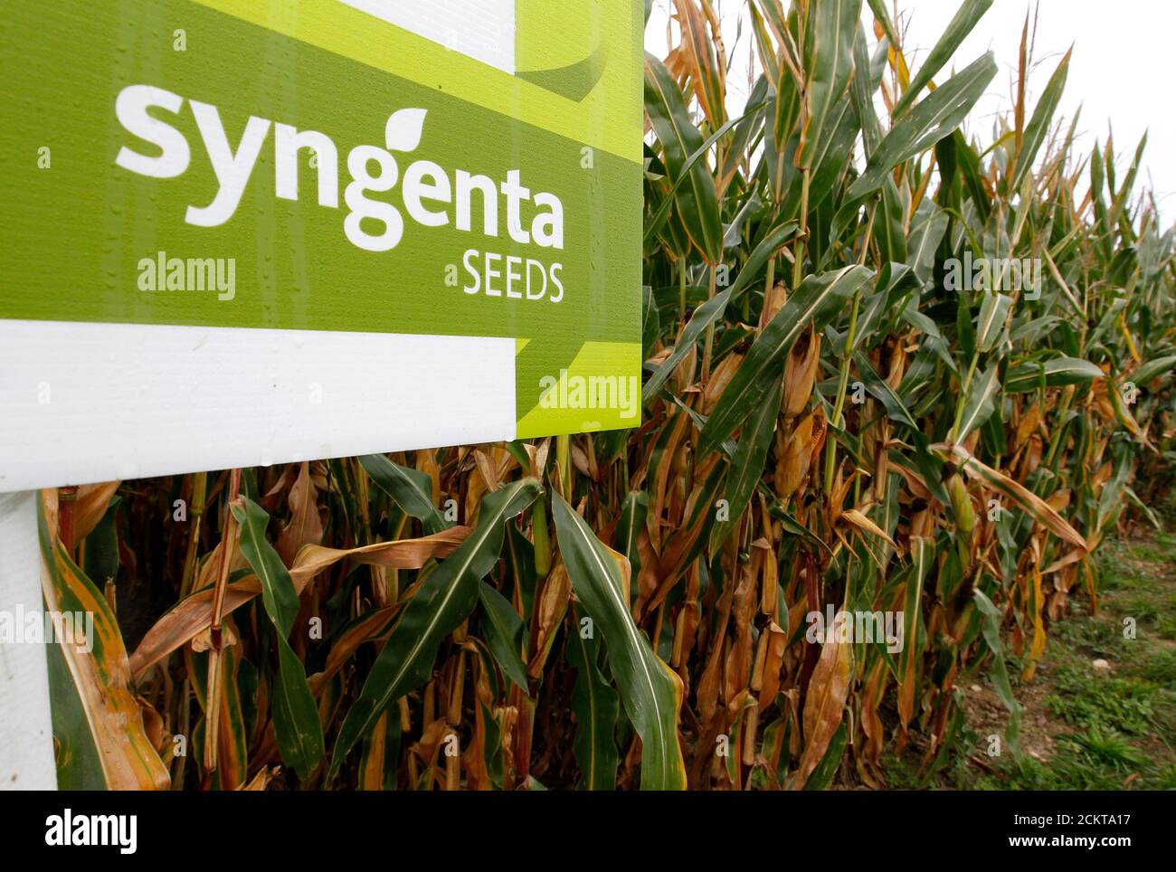 Syngenta logo hi-res stock photography and images - Alamy