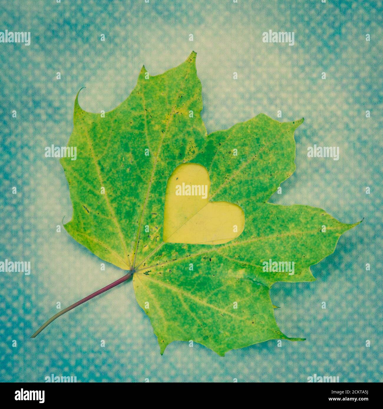 leaf with engraved love symbol Stock Photo - Alamy