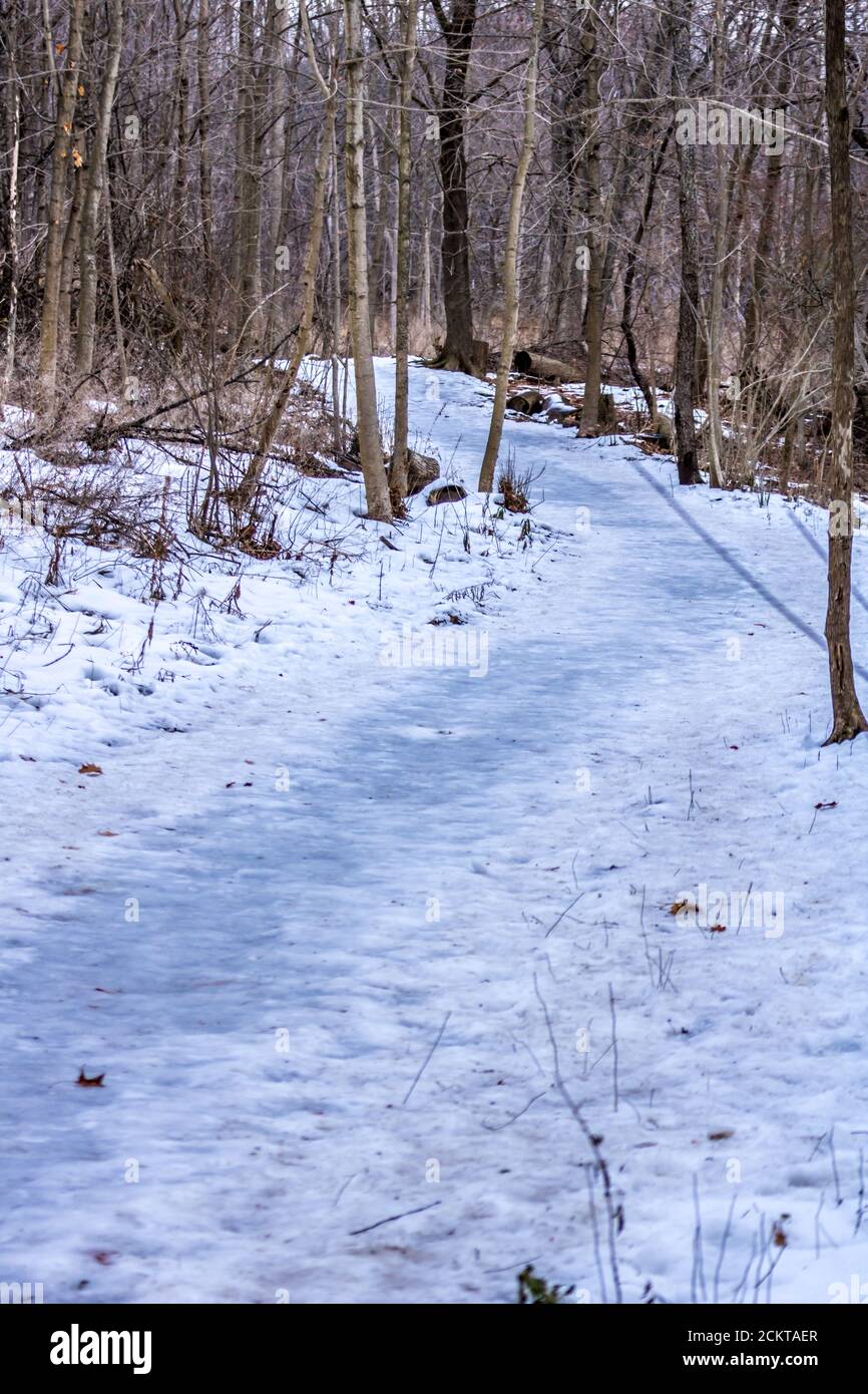 Icy path in Rattray Marsh Stock Photo - Alamy