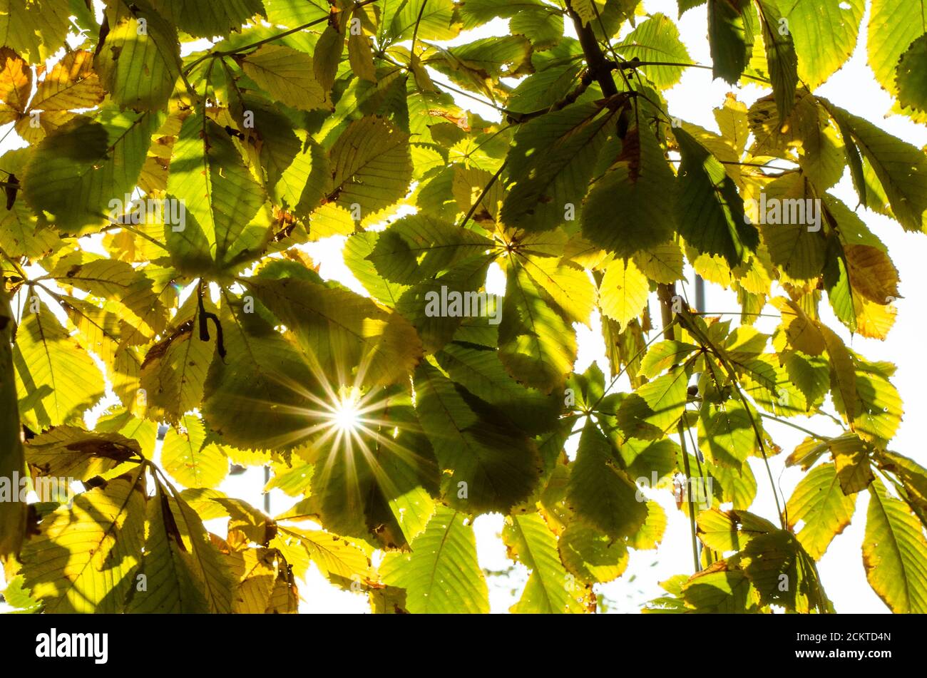 Sunslight sky hi-res stock photography and images - Alamy