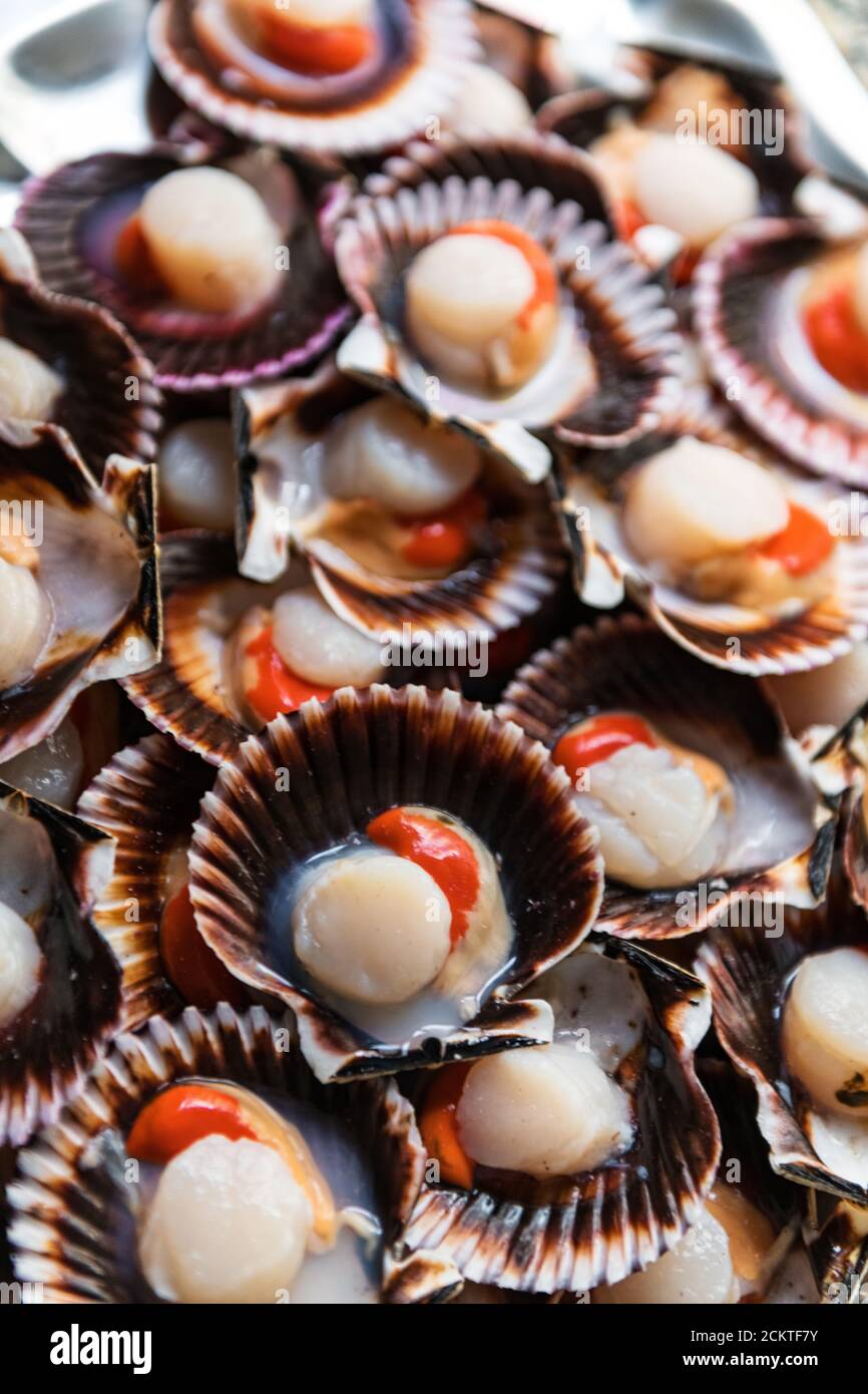 Open scallop shell hi-res stock photography and images - Alamy