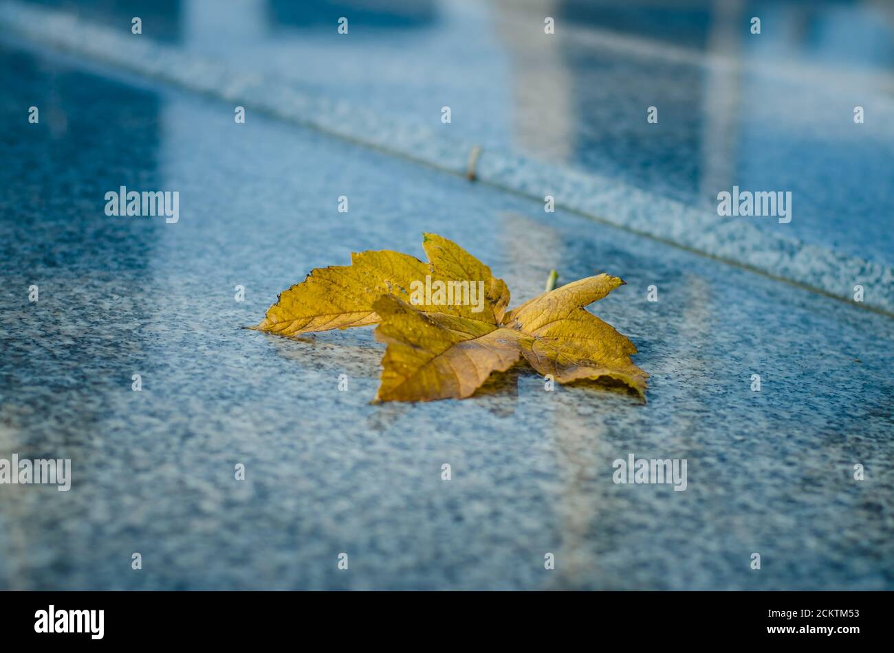bright colors of autumn and sadness of the season Stock Photo - Alamy