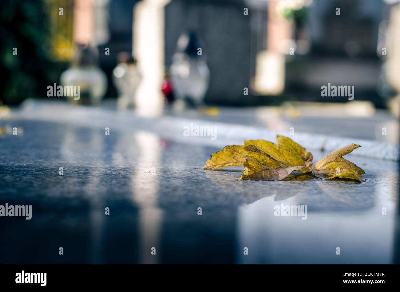 bright colors of autumn and sadness of the season Stock Photo - Alamy