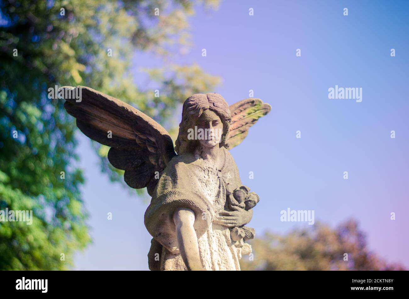 beautiful innocent angel with wings Stock Photo - Alamy