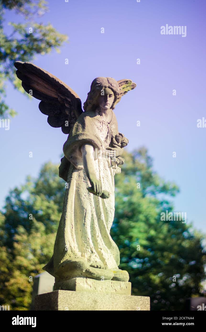 beautiful innocent angel with wings Stock Photo - Alamy