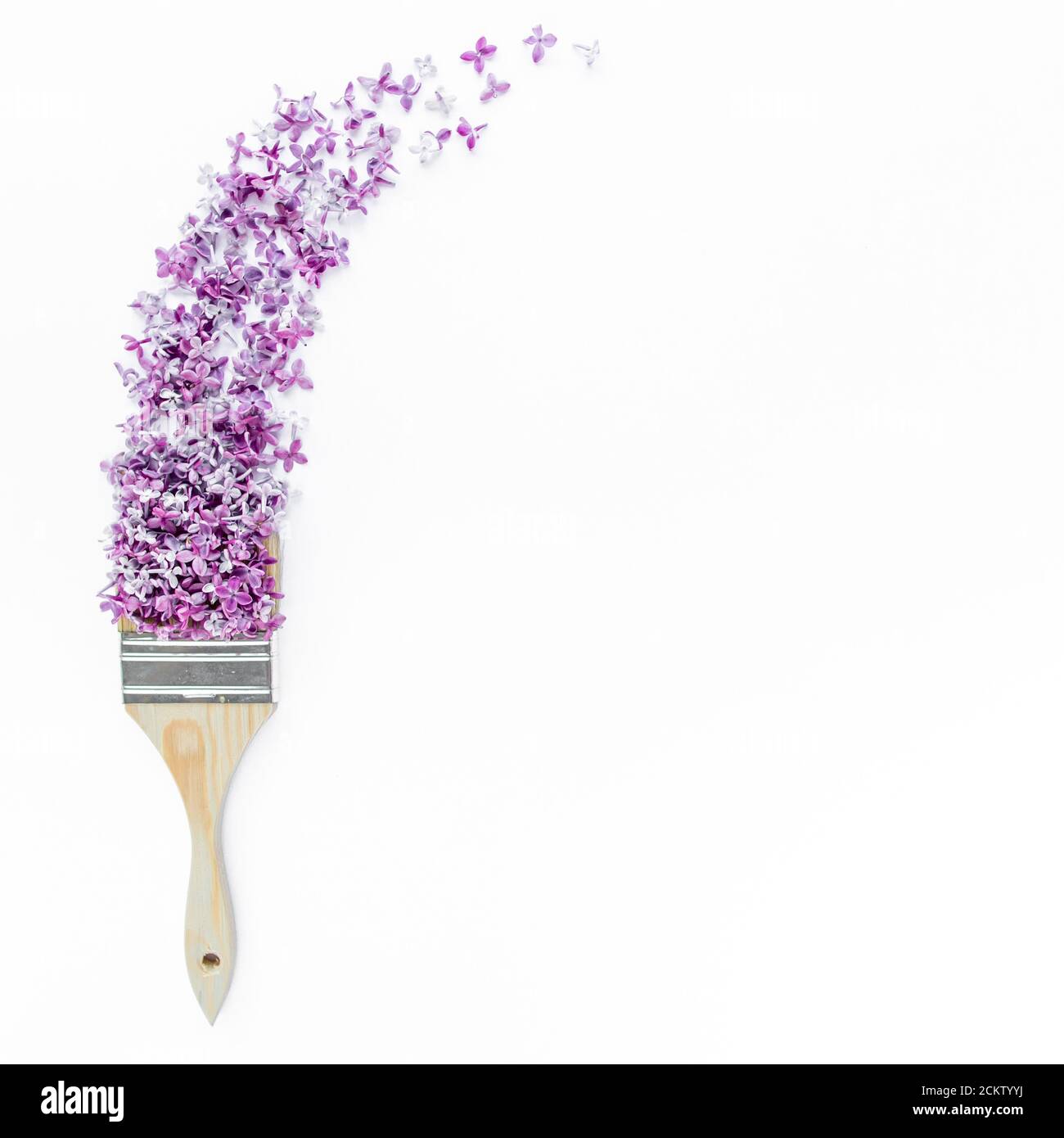 Flowers and brush with purple lilac isolated on white background. Flat ...