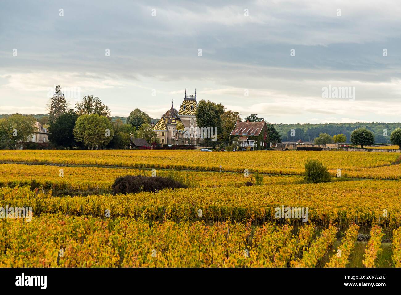 Montagne de corton hill hi-res stock photography and images - Alamy