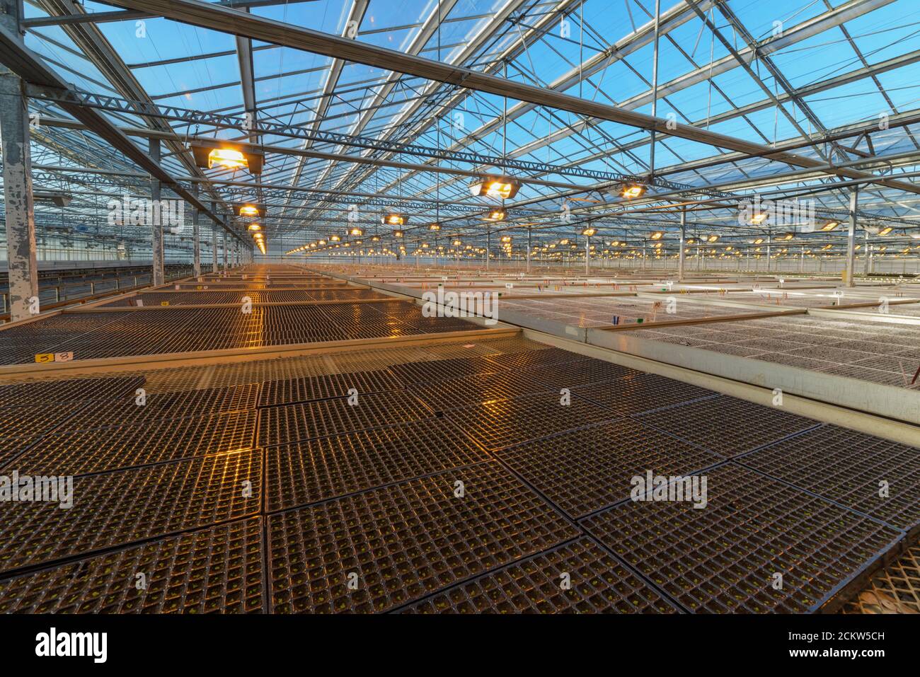 Portfolio Jonathan ward, garden Structure Stock Photo - Alamy