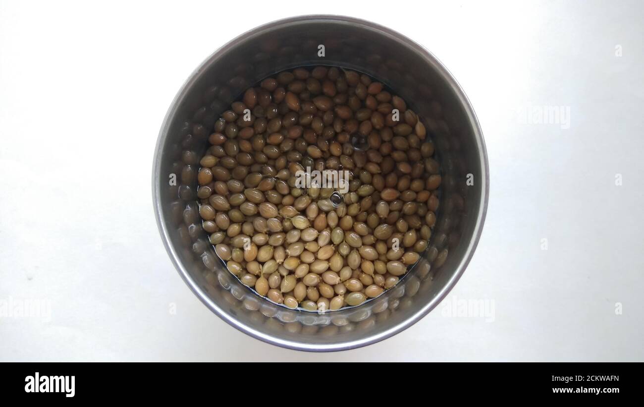 A coriander seeds (dhaniya) soaked in glass of water isolated on white ...