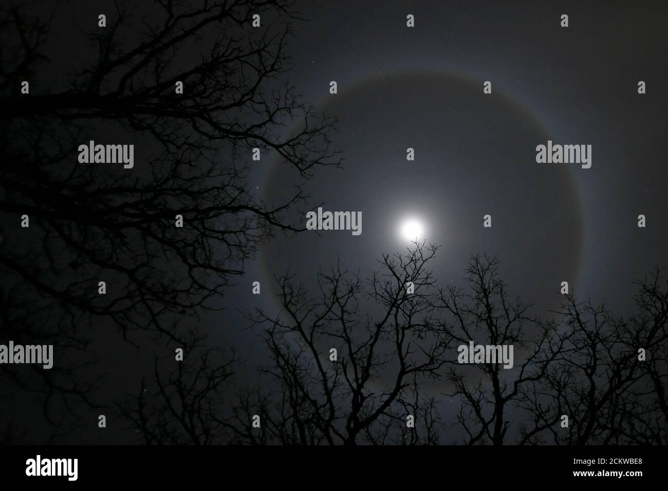 Royse High Resolution Stock Photography and Images - Alamy