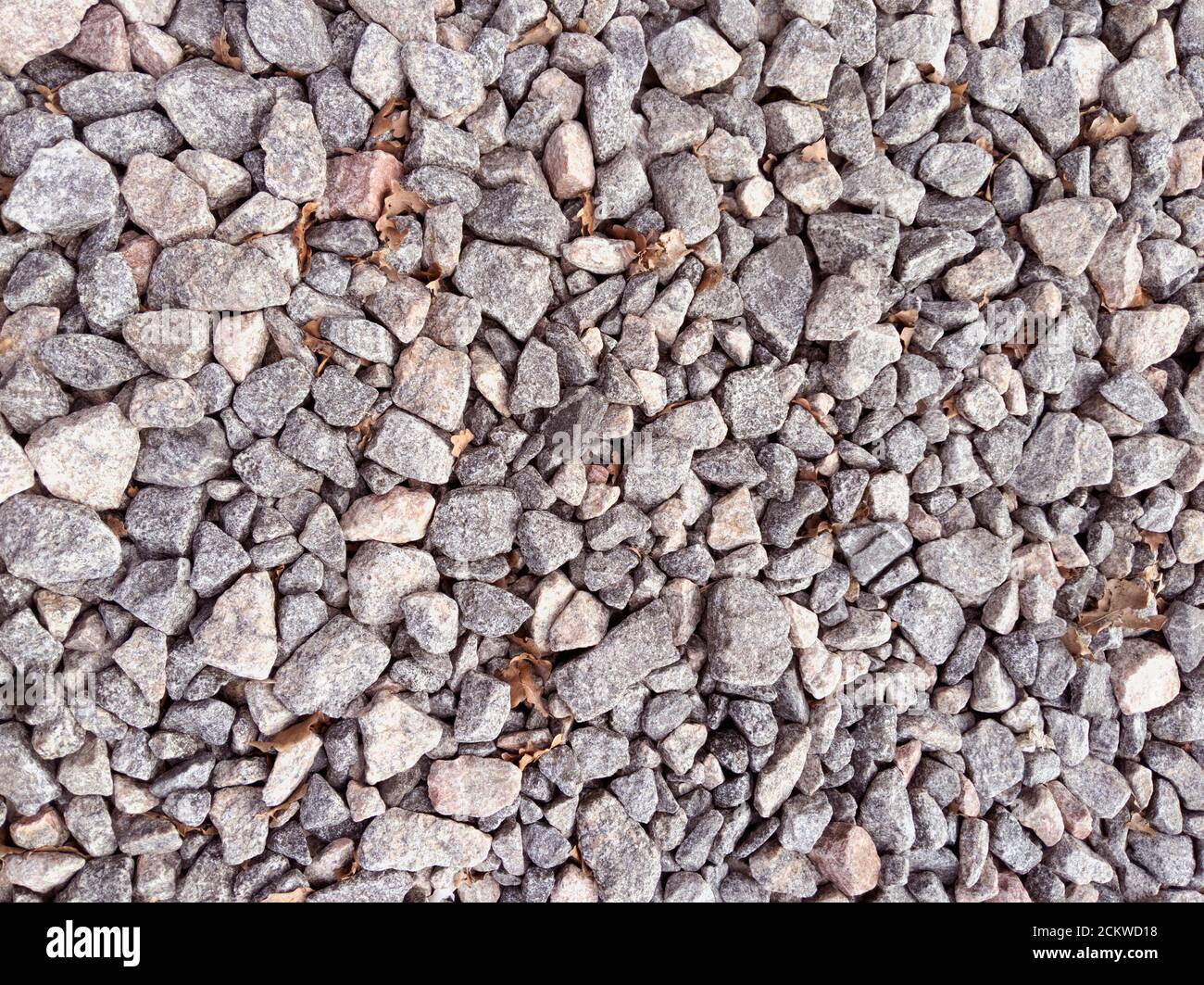 Nature photo texture hi-res stock photography and images - Alamy