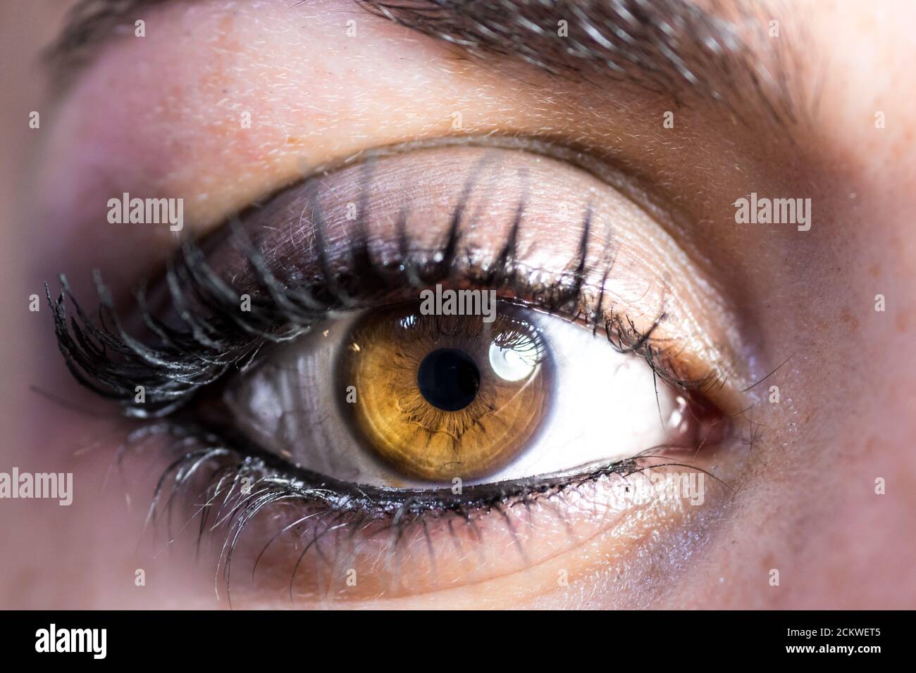 Dark Brown Eye Close Up With Makeup