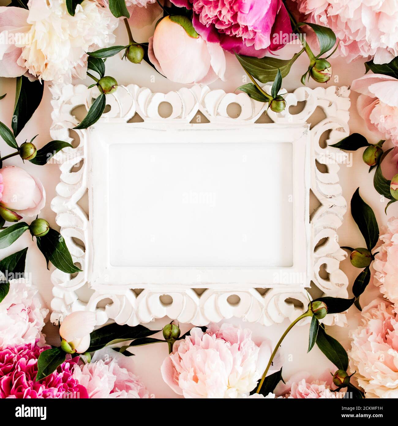 Carved, white frame decorated of beautiful pink peonies on white ...