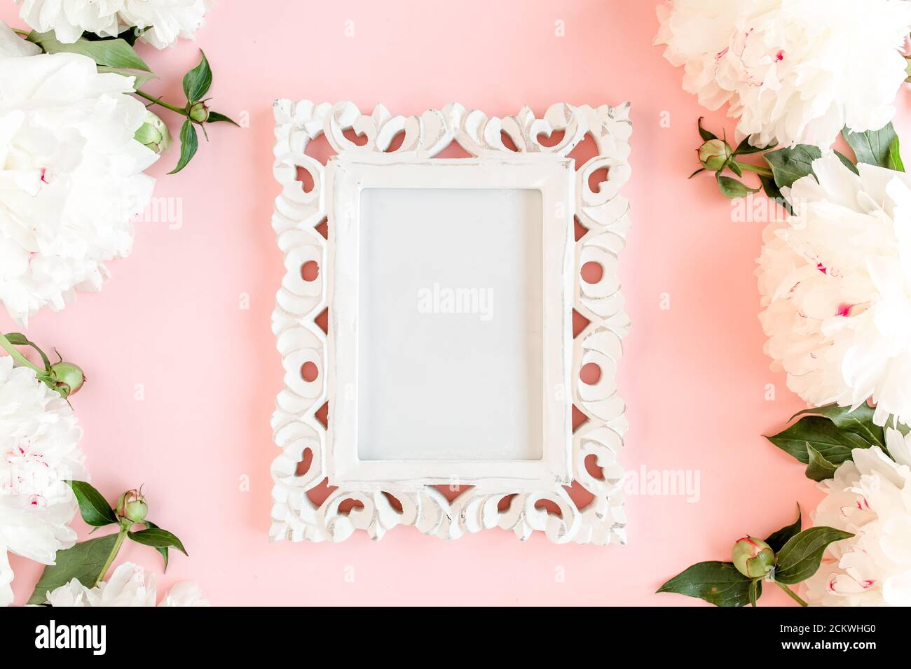 Carved, white frame decorated of white peony flowers on pink background ...