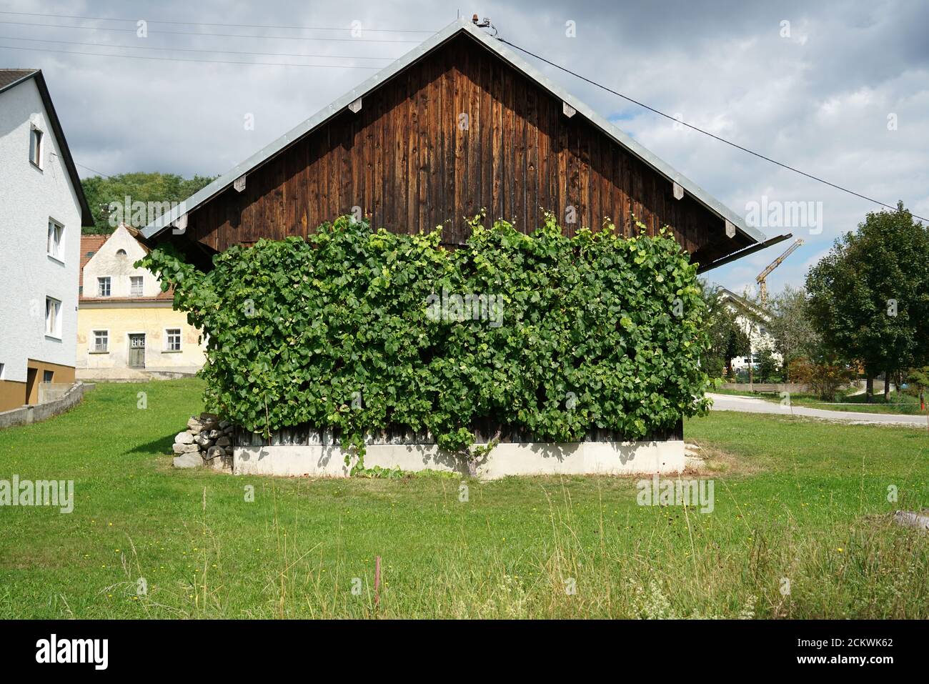 House facade is overgrown with plants Stock Photo - Alamy
