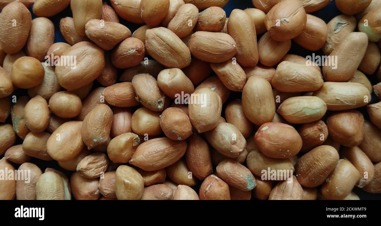 Indian organic peanuts isolated on flat background with selective focus ...
