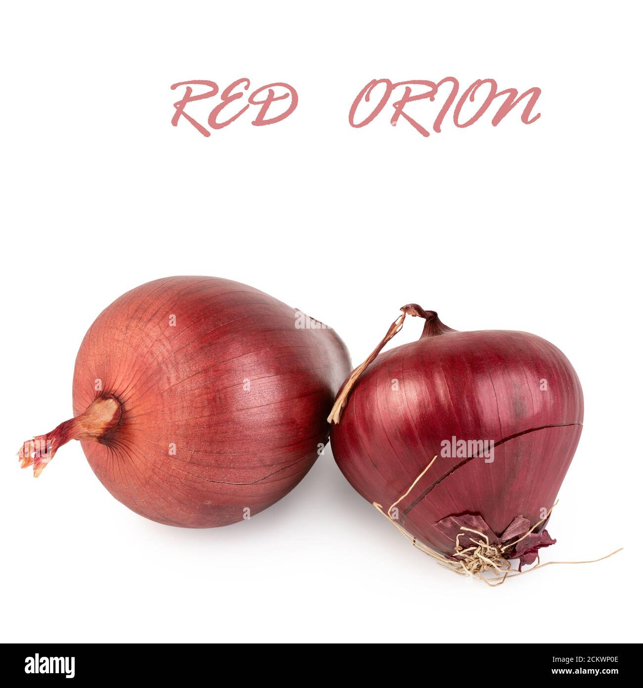 red onion bulb isolated on white background cutout Stock Photo - Alamy
