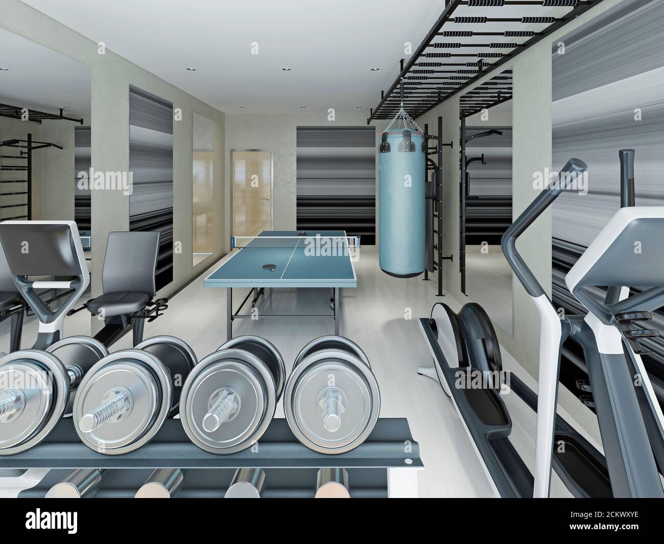 Gym modern style. 3d render Stock Photo - Alamy