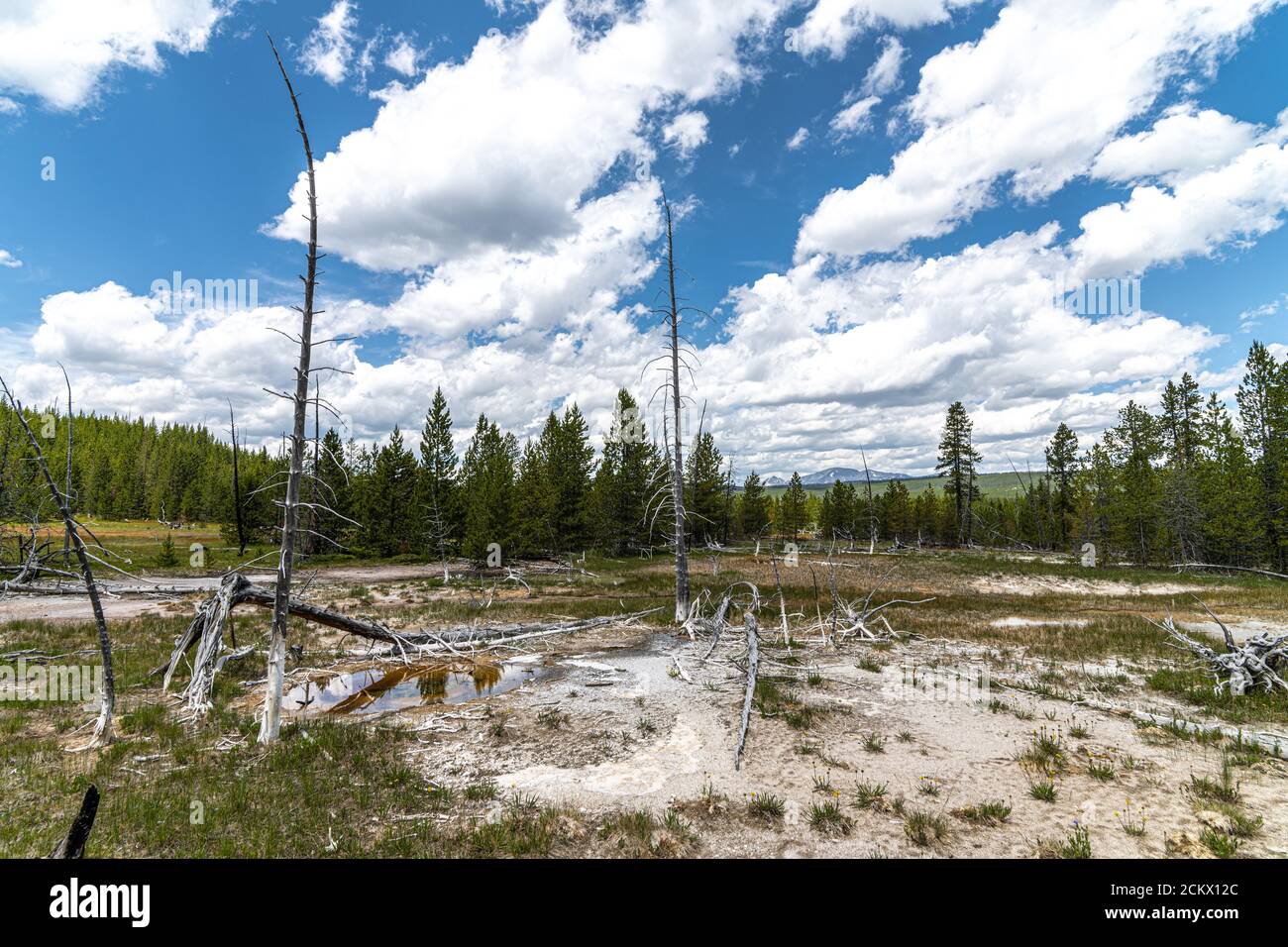 Artists paintpots yellowstone hi-res stock photography and images - Alamy