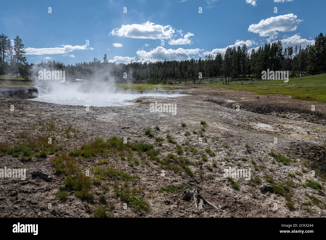 Churning Caldron, Mud Volcano Area, Yellowstone National Park Stock ...