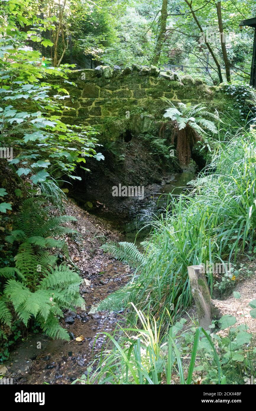 Shanklin isle of wight hi-res stock photography and images - Alamy