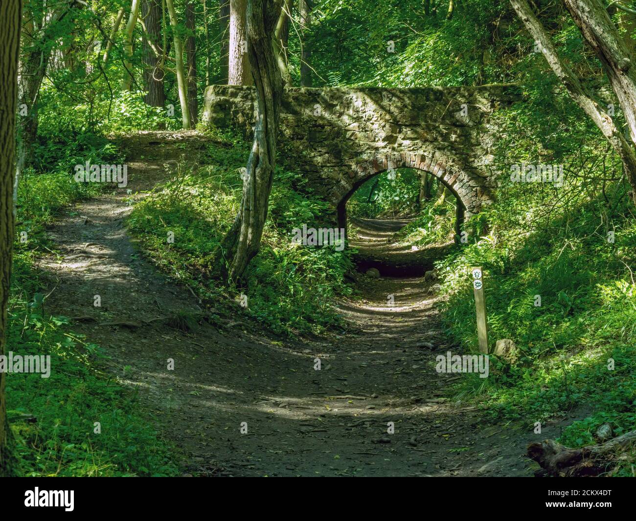 Small, single arch stone and brick bridge over old trackway in woodland ...