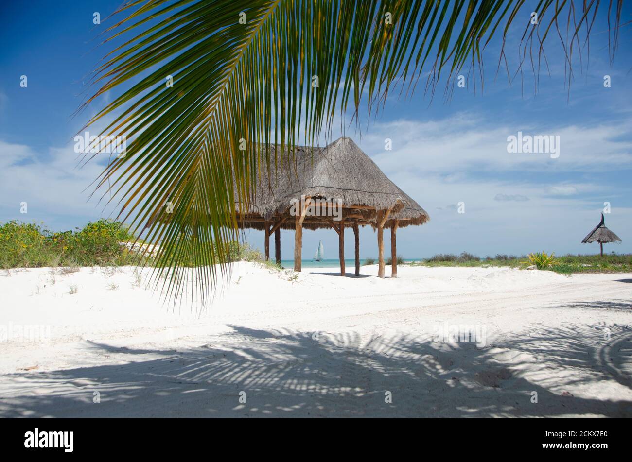 A wooden hut oceanfront in a white beach and palm leaf , Holbox Island ...