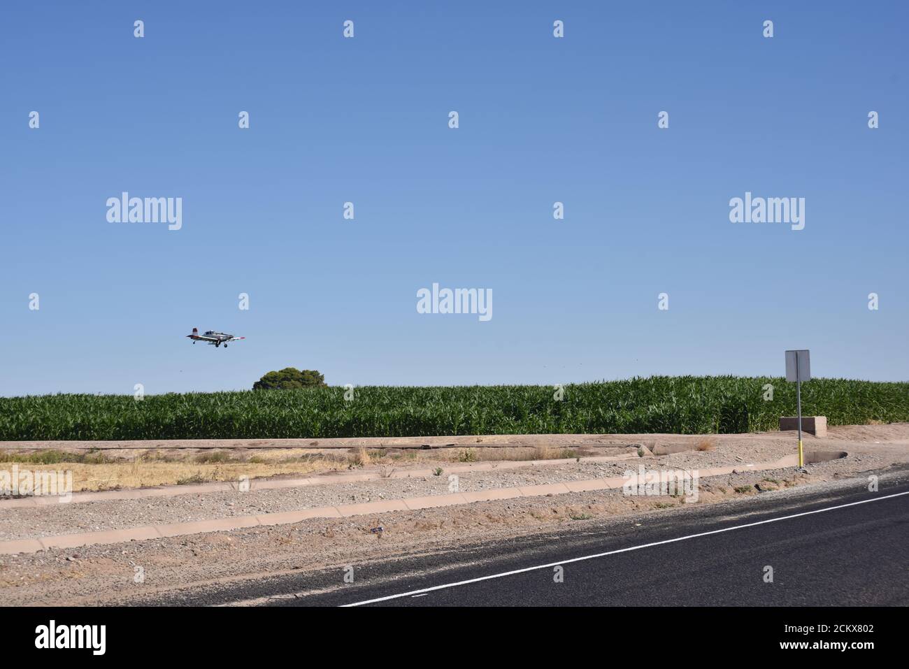 Cornfield crop duster hi-res stock photography and images - Alamy