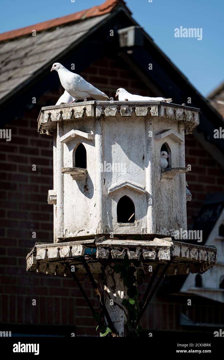 Doves at dovecote hi-res stock photography and images - Alamy