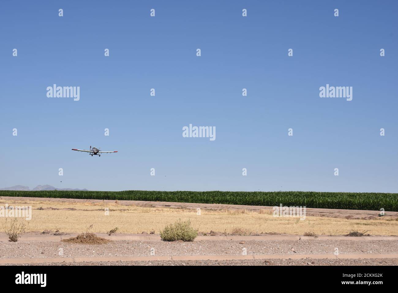 Cornfield crop duster hi-res stock photography and images - Alamy