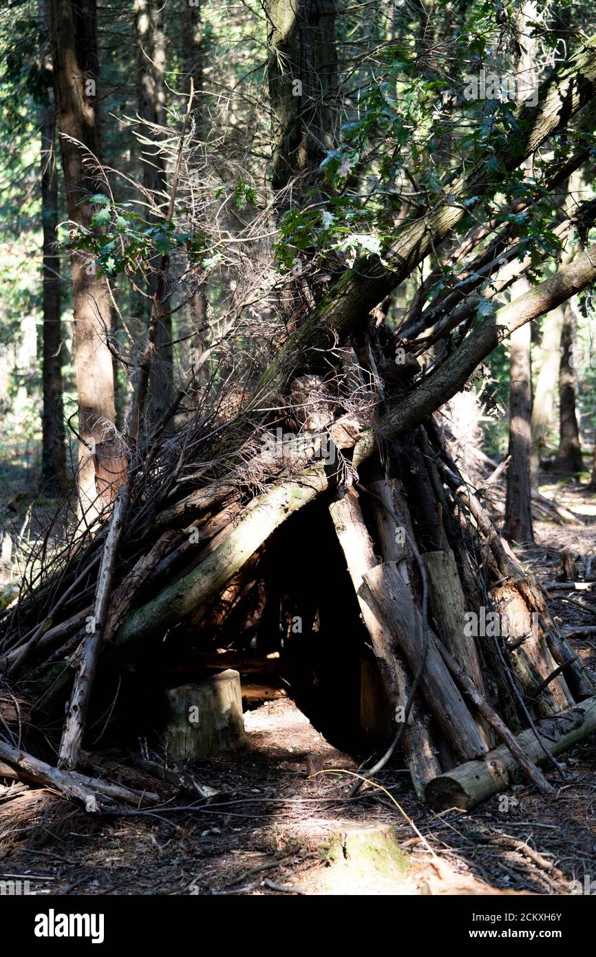 Makeshift forest hi-res stock photography and images - Alamy
