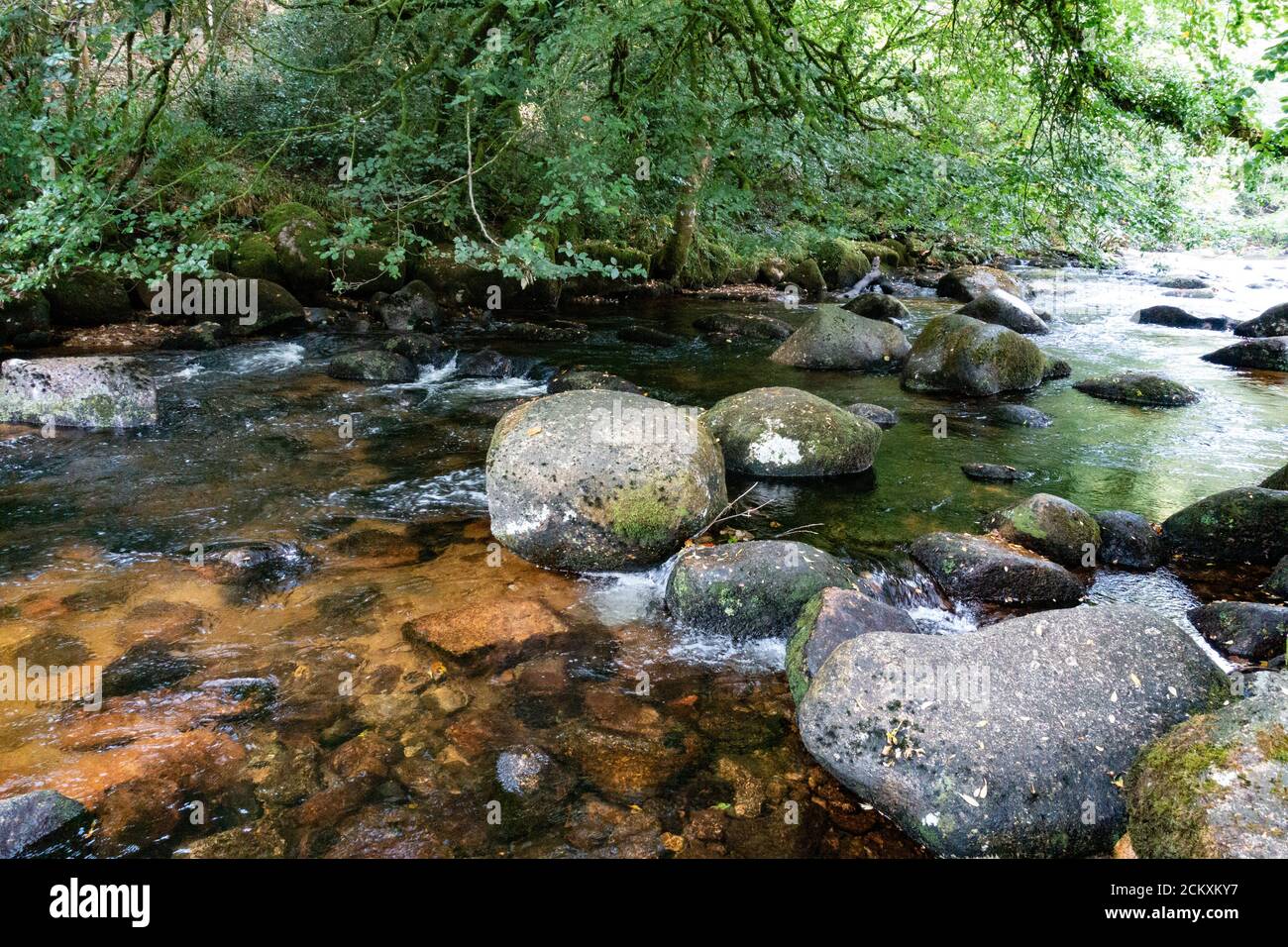 River Dart at Dartmeet, the joining of the tributaries of the Dart, the ...