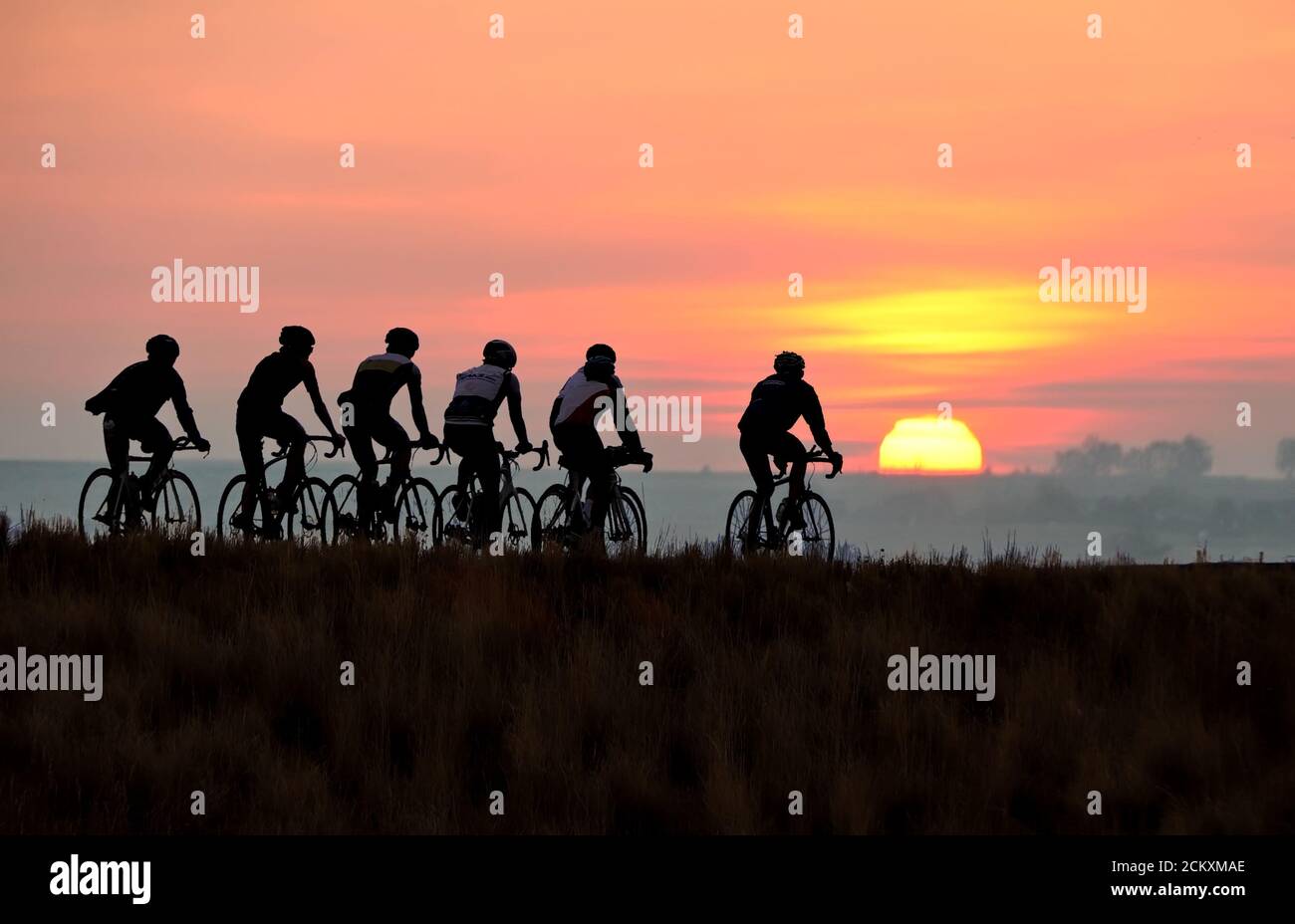 Group bicycle ride at dawn Stock Photo - Alamy