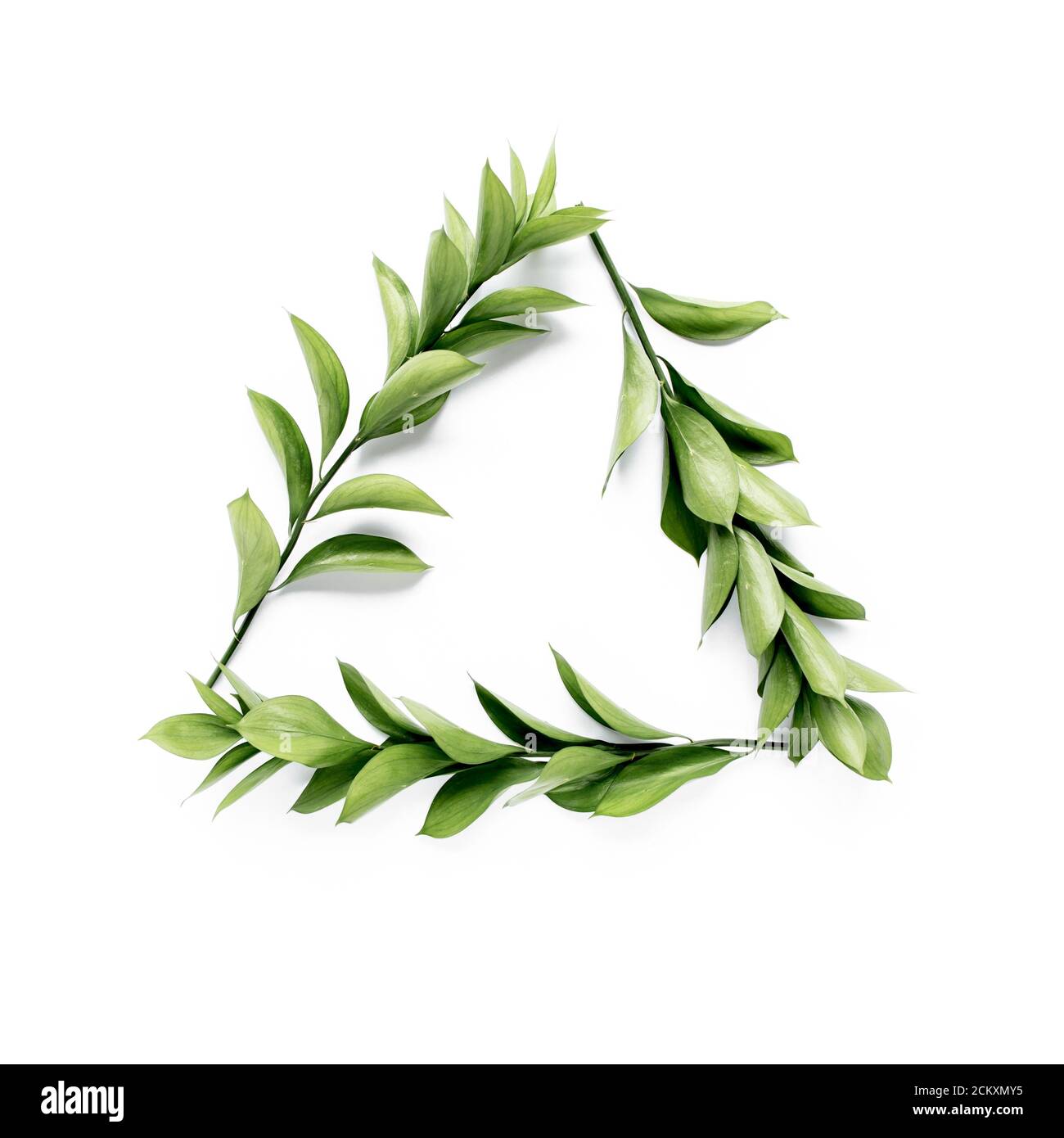 triangle frame with green leaves and branches isolated on white ...